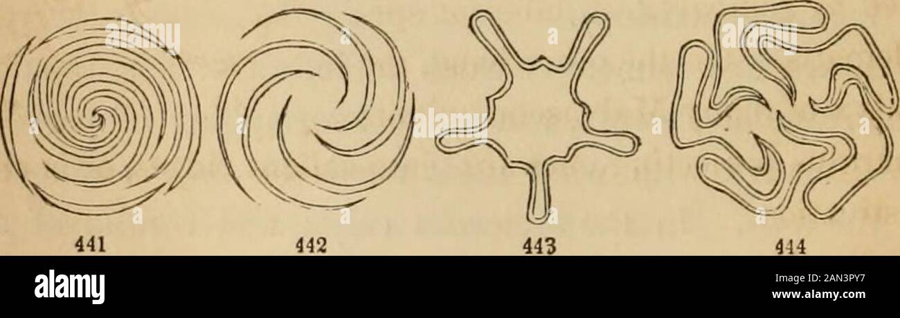 Quincuncial hi-res stock photography and images - Alamy