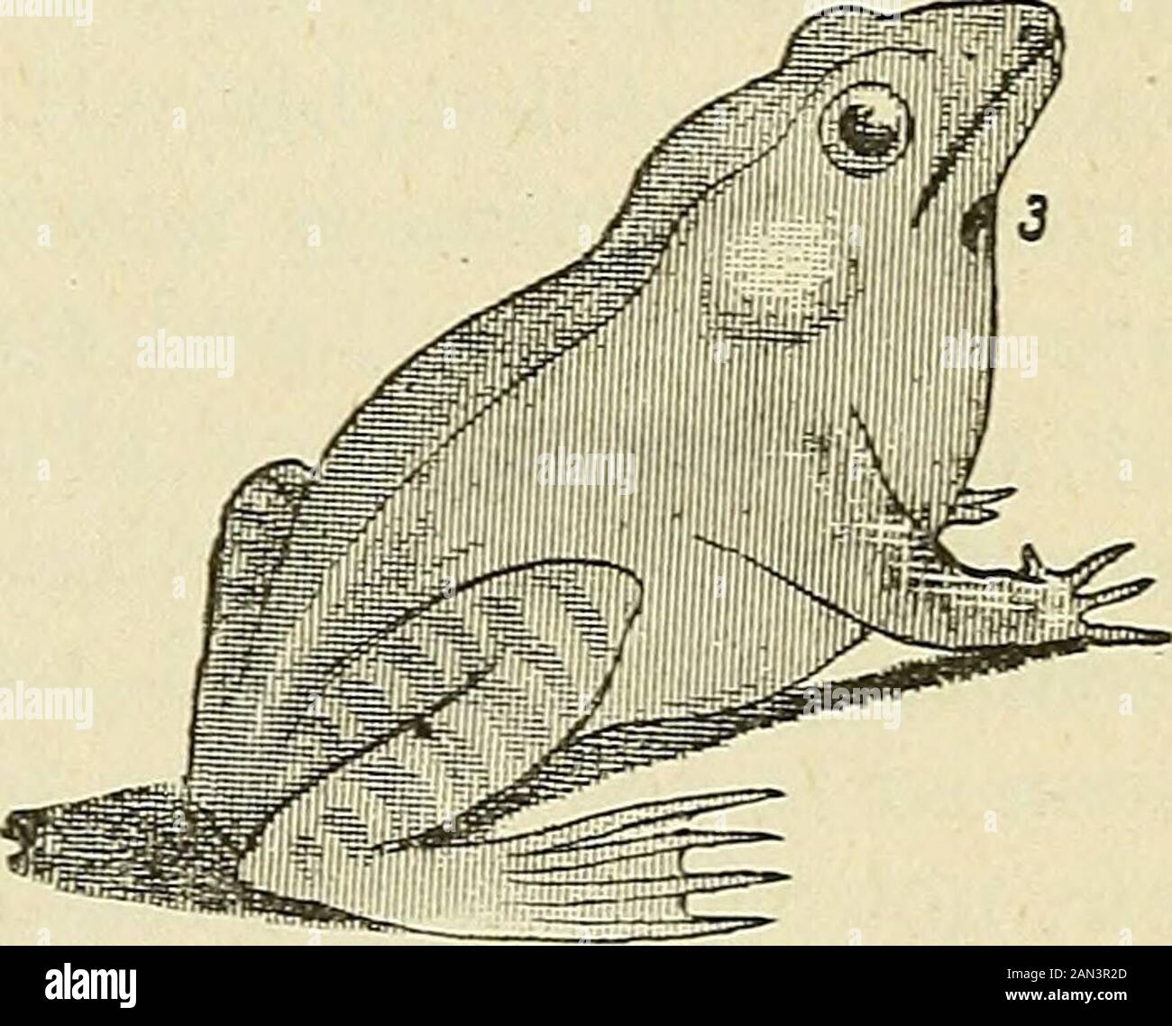 The laws and mechanics of circulation, with the principle involved in ...