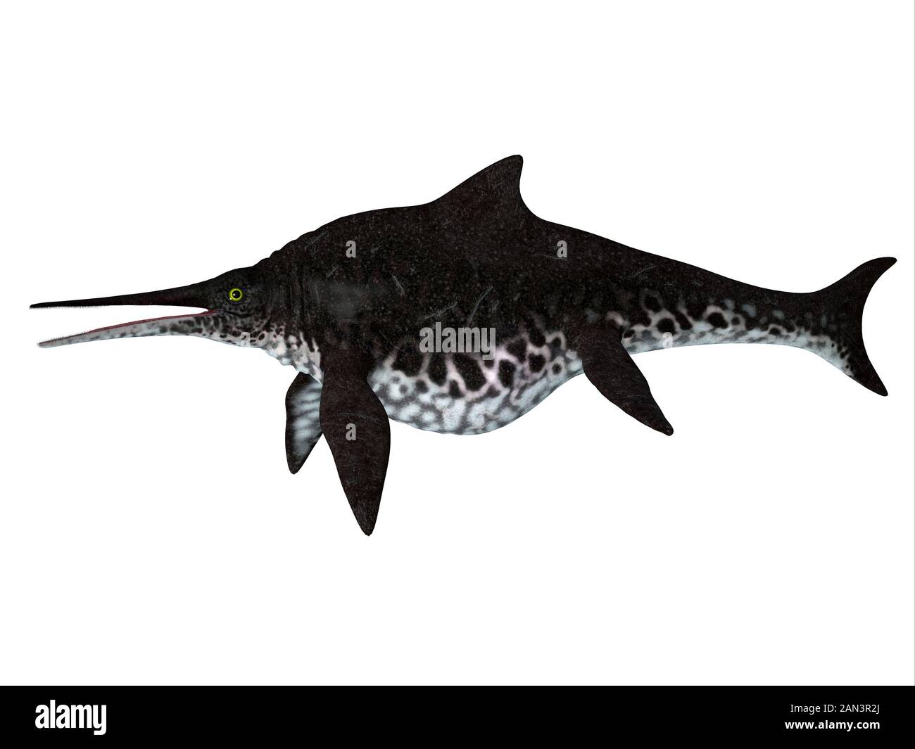 Shonisaurus hi-res stock photography and images - Alamy