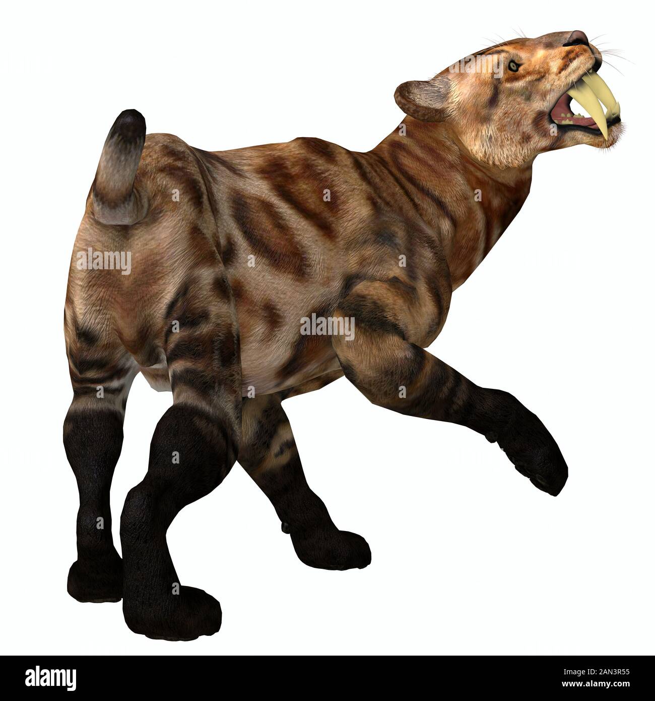 Smilodon pleistocene 3d hi-res stock photography and images - Alamy