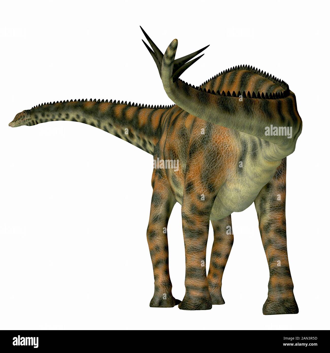 Spinophorosaurus nigerensis Cut Out Stock Images & Pictures - Alamy