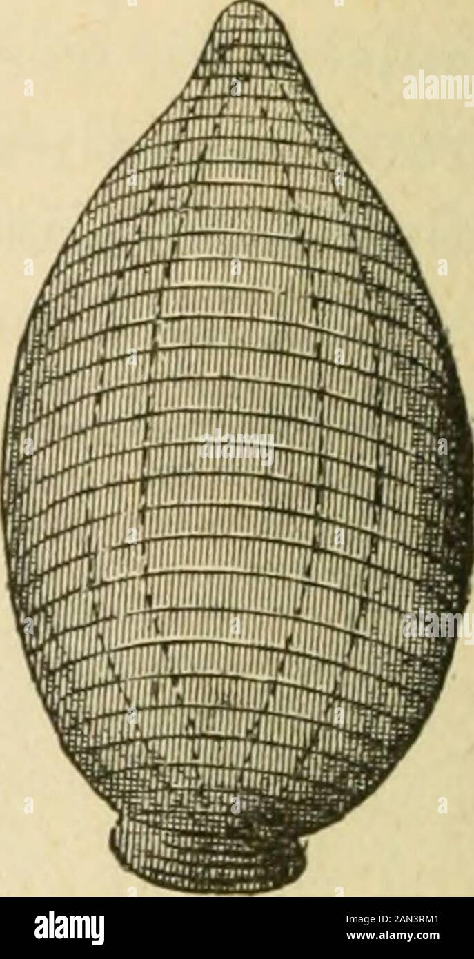 The laws and mechanics of circulation, with the principle involved in ...