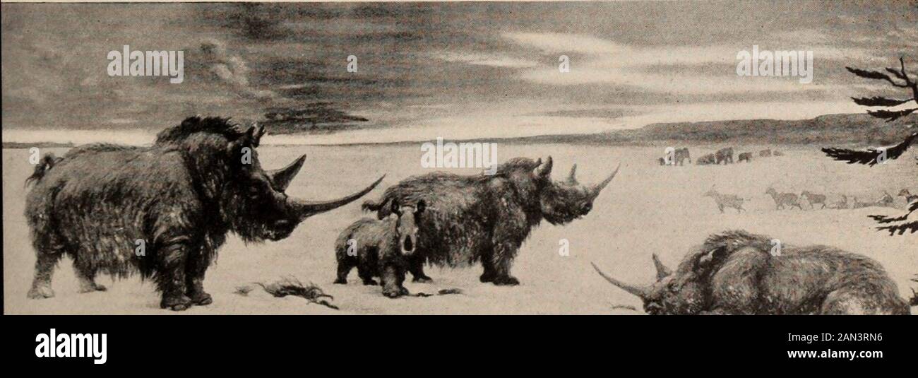 Charles r knight hi-res stock photography and images - Alamy