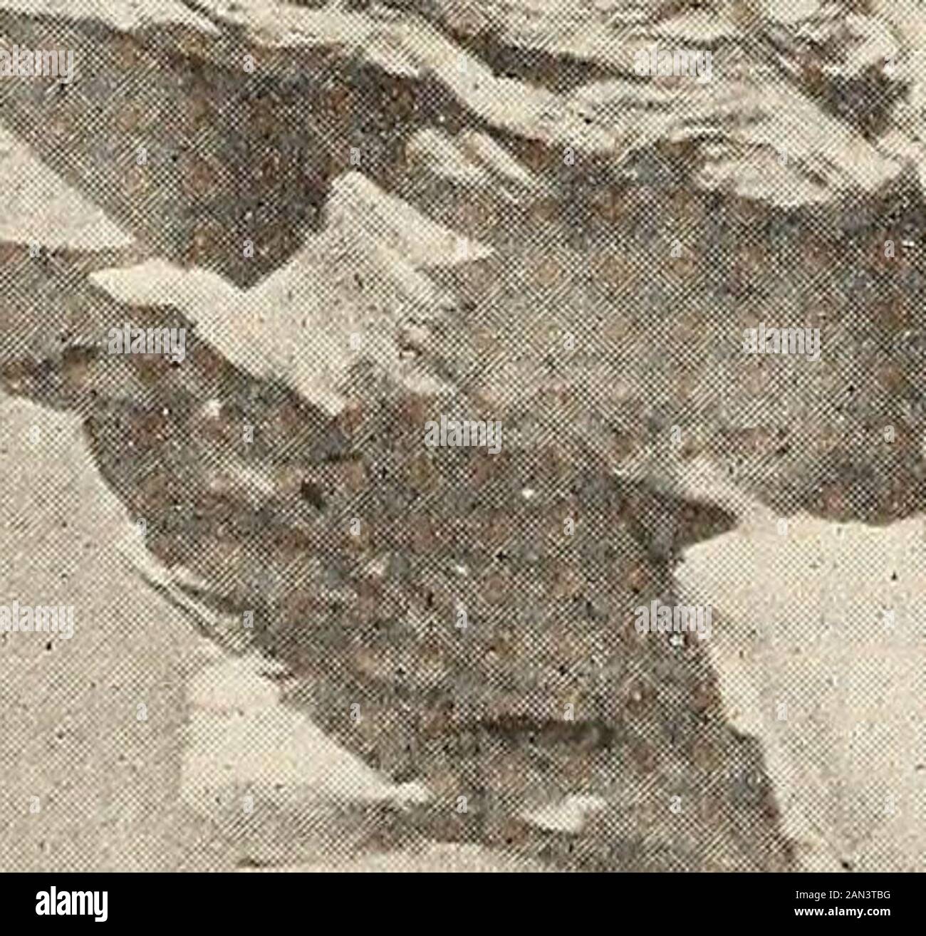 Moving Picture Age (1920 Stock Photo - Alamy