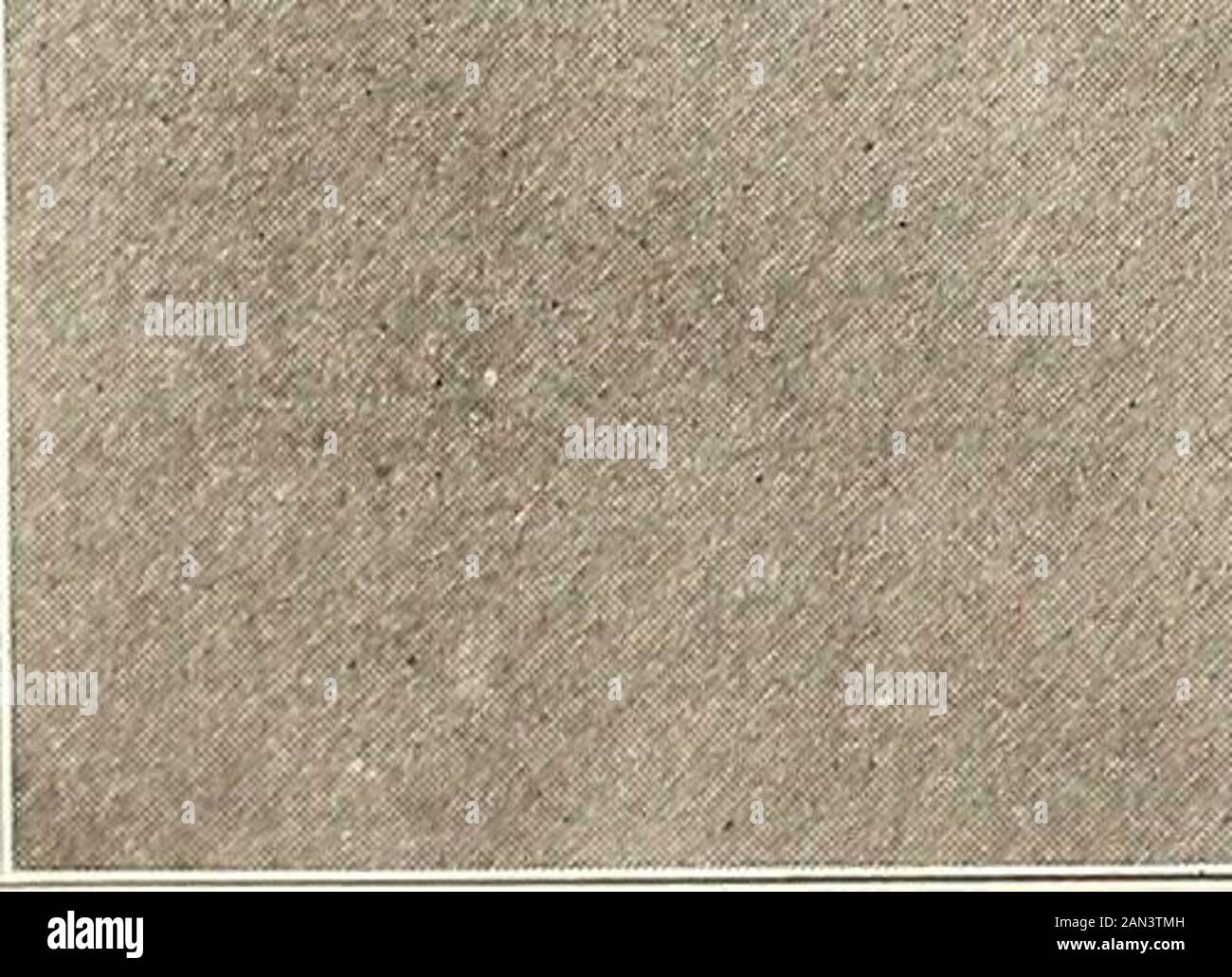Moving picture age 1920 1920 hi-res stock photography and images - Alamy