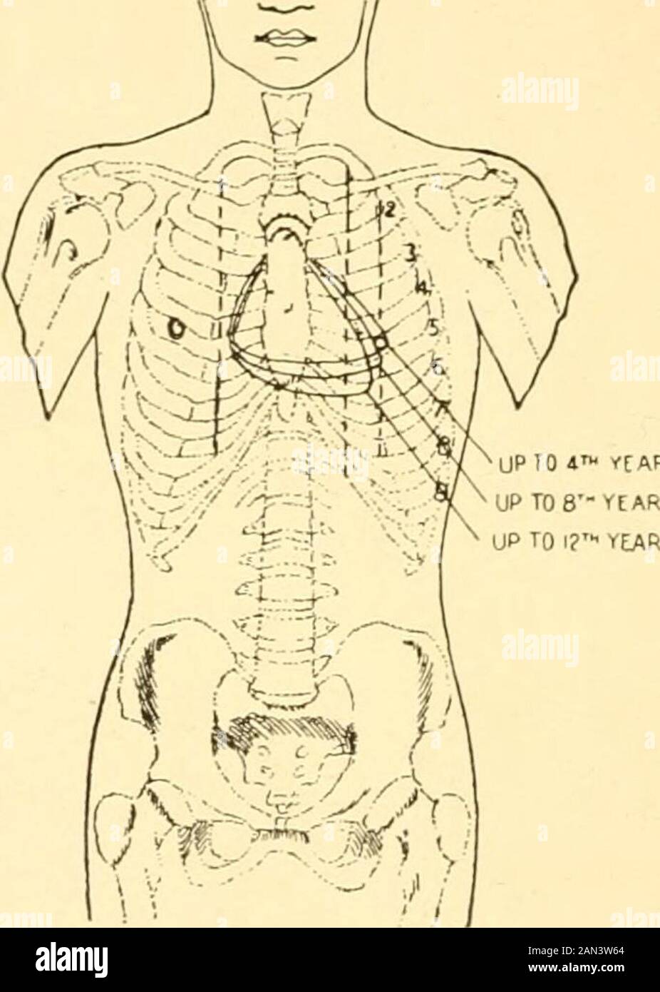 Modern diagnosis and treatment of diseases of childern; a treatise on ...