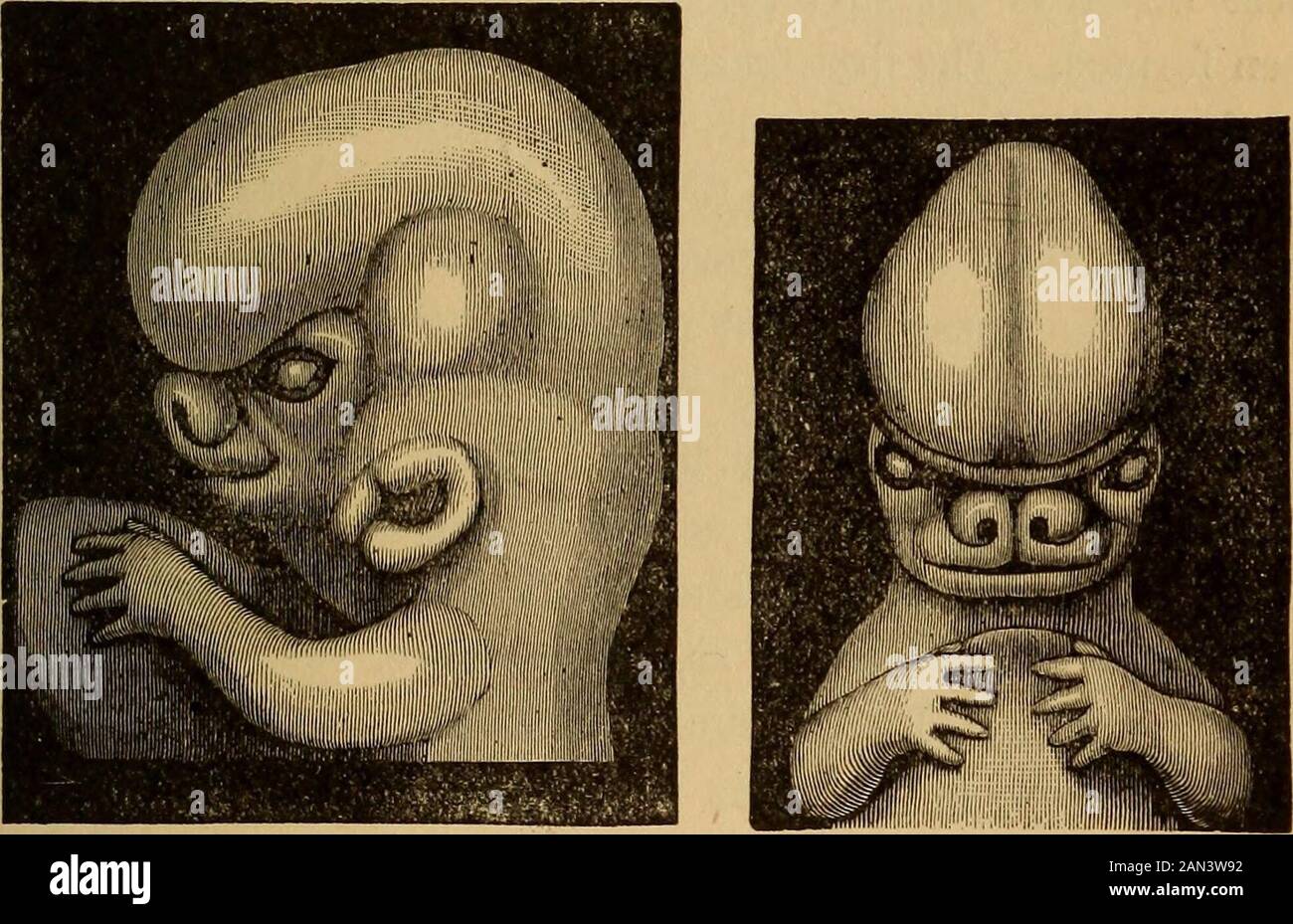 The evolution of man: a popular exposition of the principal points of ...