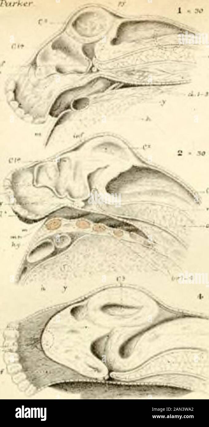 Imt hi-res stock photography and images - Alamy