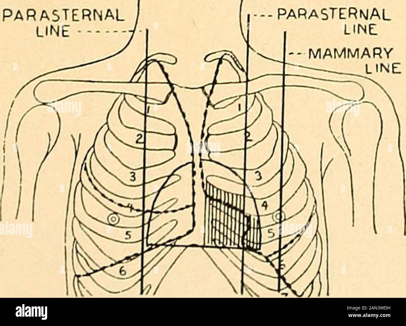 Modern diagnosis and treatment of diseases of childern; a treatise on ...