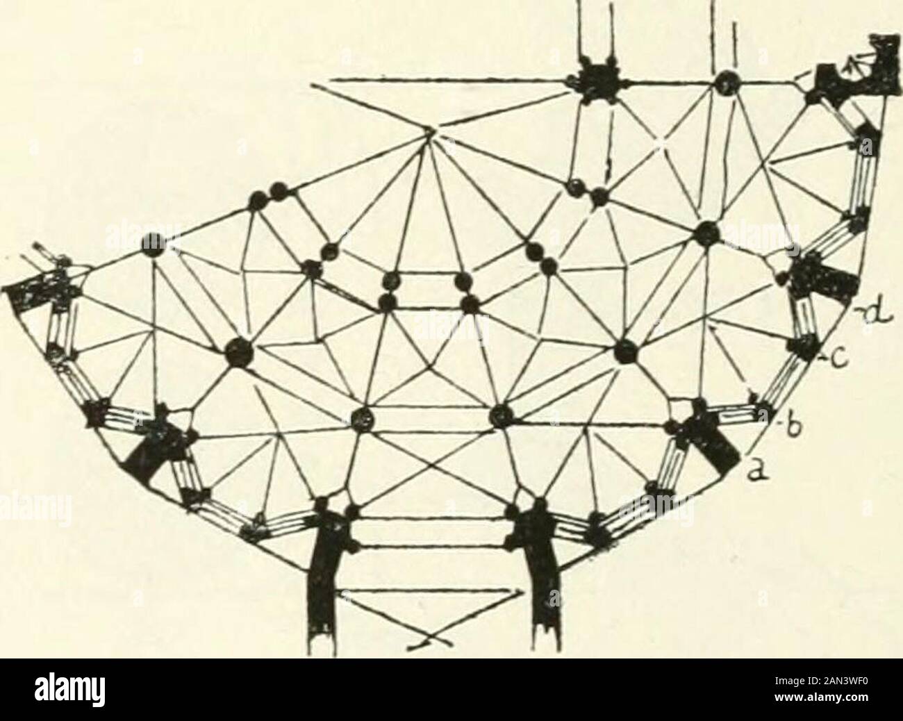 Ridge rib hi-res stock photography and images - Alamy