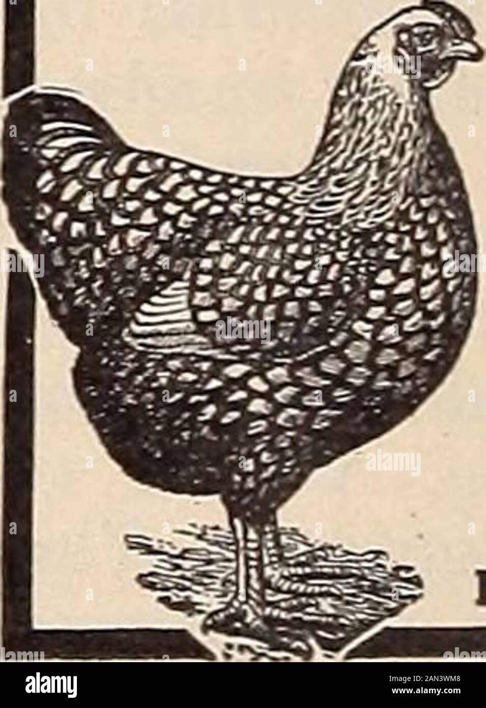 Ration booklet hi-res stock photography and images - Alamy