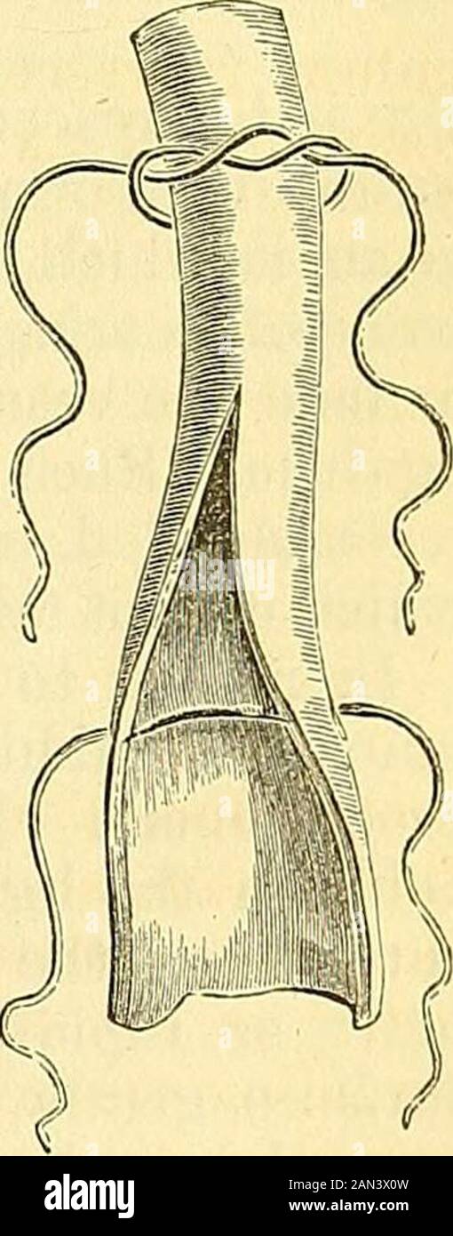 Tying a reef knot hi-res stock photography and images - Alamy