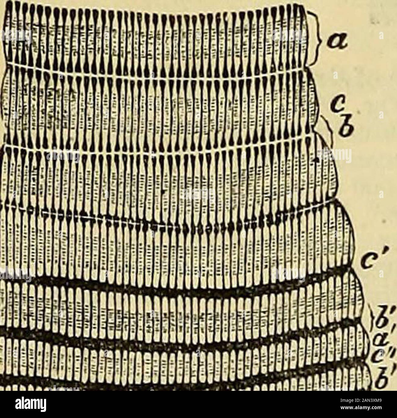 E with 2 dots hi-res stock photography and images - Alamy