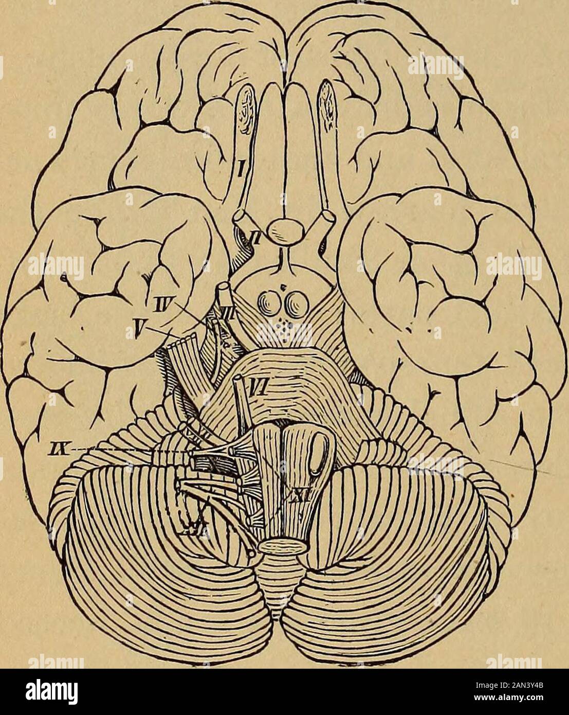 Complex furrows hi-res stock photography and images - Alamy