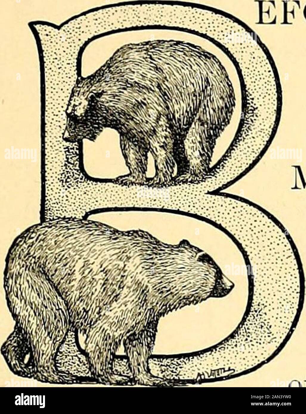 Dodo tree hi-res stock photography and images - Alamy