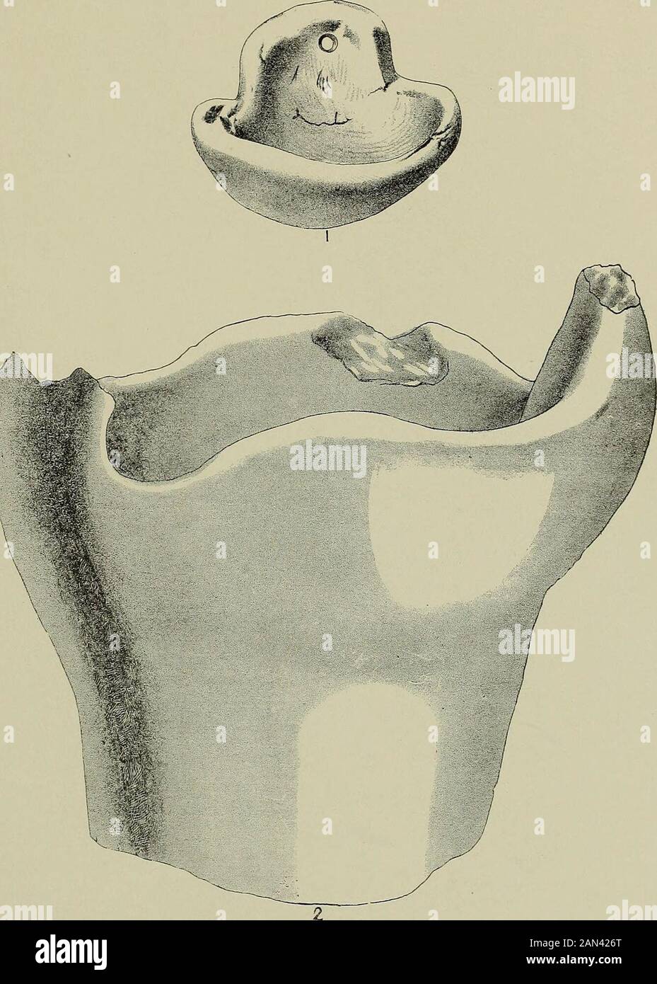 Journal of the Academy of Natural Sciences of Philadelphia . MOORE ...