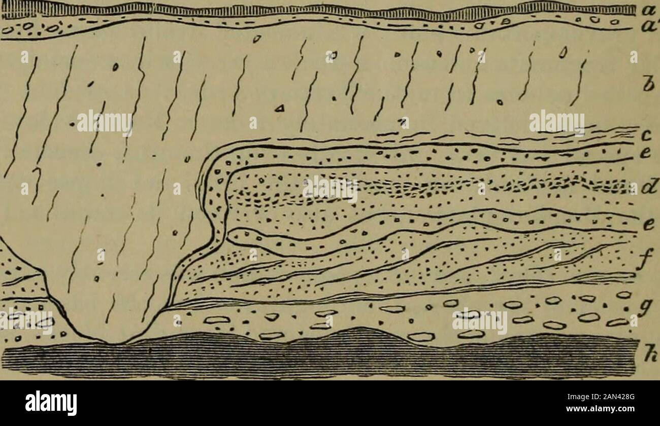 Stone sarsen surface hi-res stock photography and images - Alamy