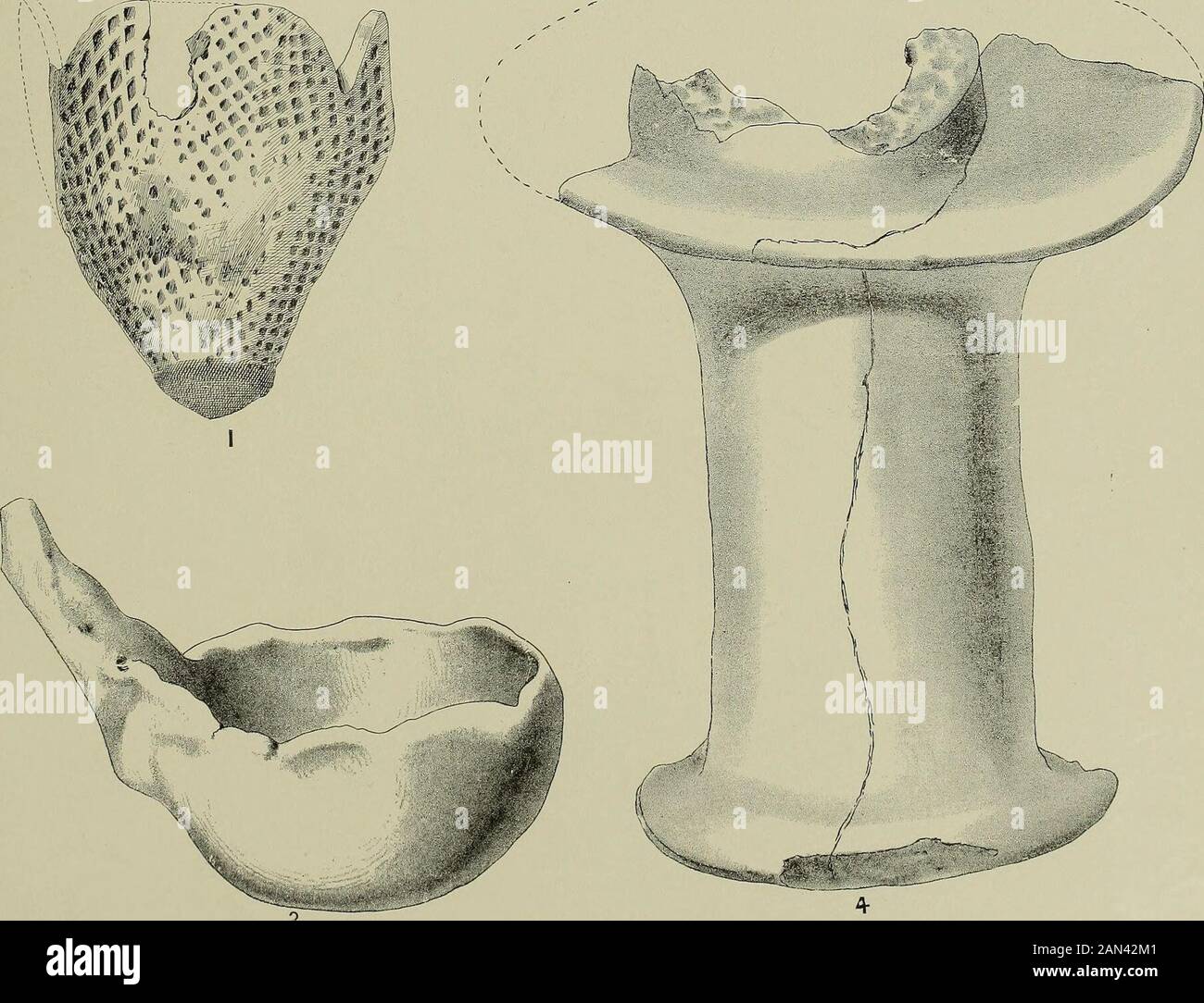 Journal of the Academy of Natural Sciences of Philadelphia . MOORE ...