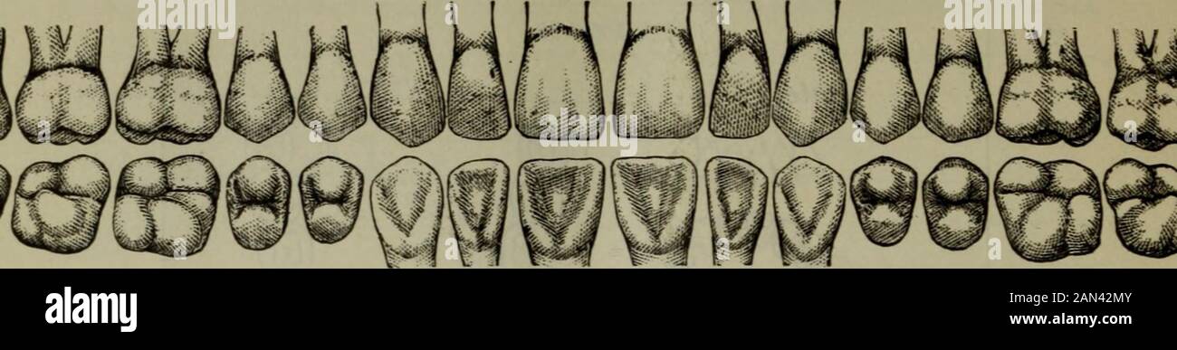 Faint pencil marks hi-res stock photography and images - Alamy
