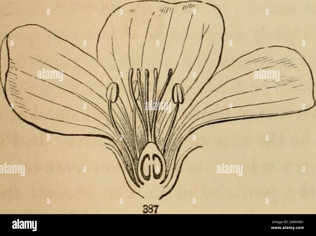 Introduction to structural and systematic botany, and vegetable ...