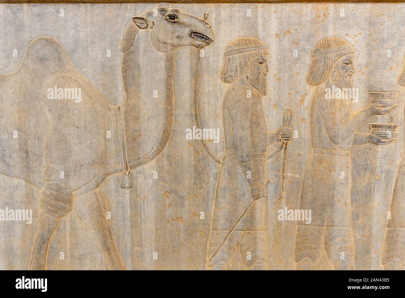 Bas reliefs in Persepolis, Iran Stock Photo - Alamy
