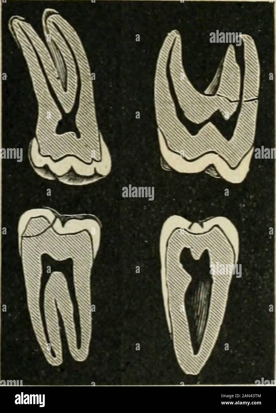 Transactions of the Illinois State Dental Society, 1892 . PLATE v.First ...