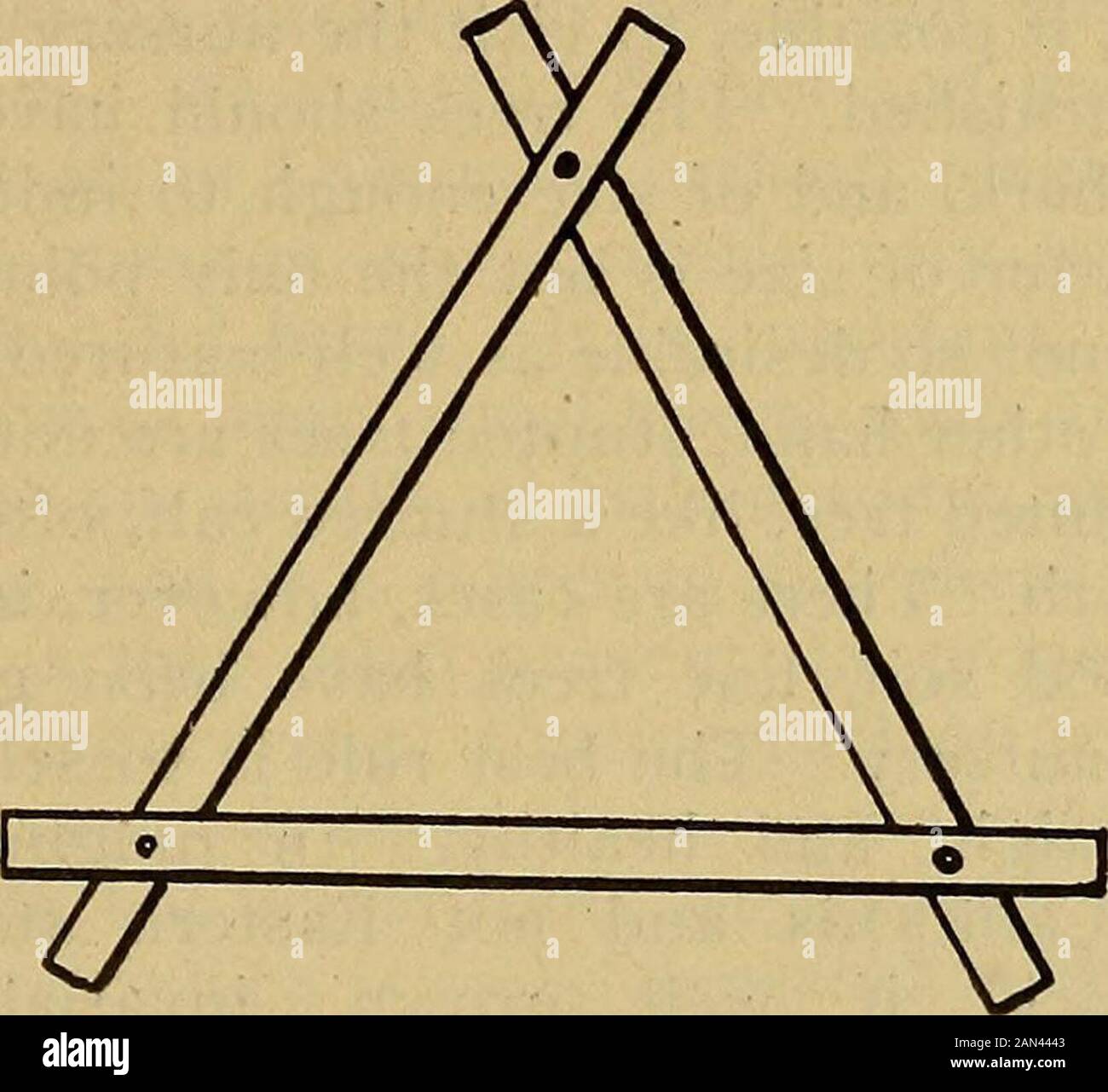 Remove tree stake hi-res stock photography and images - Alamy