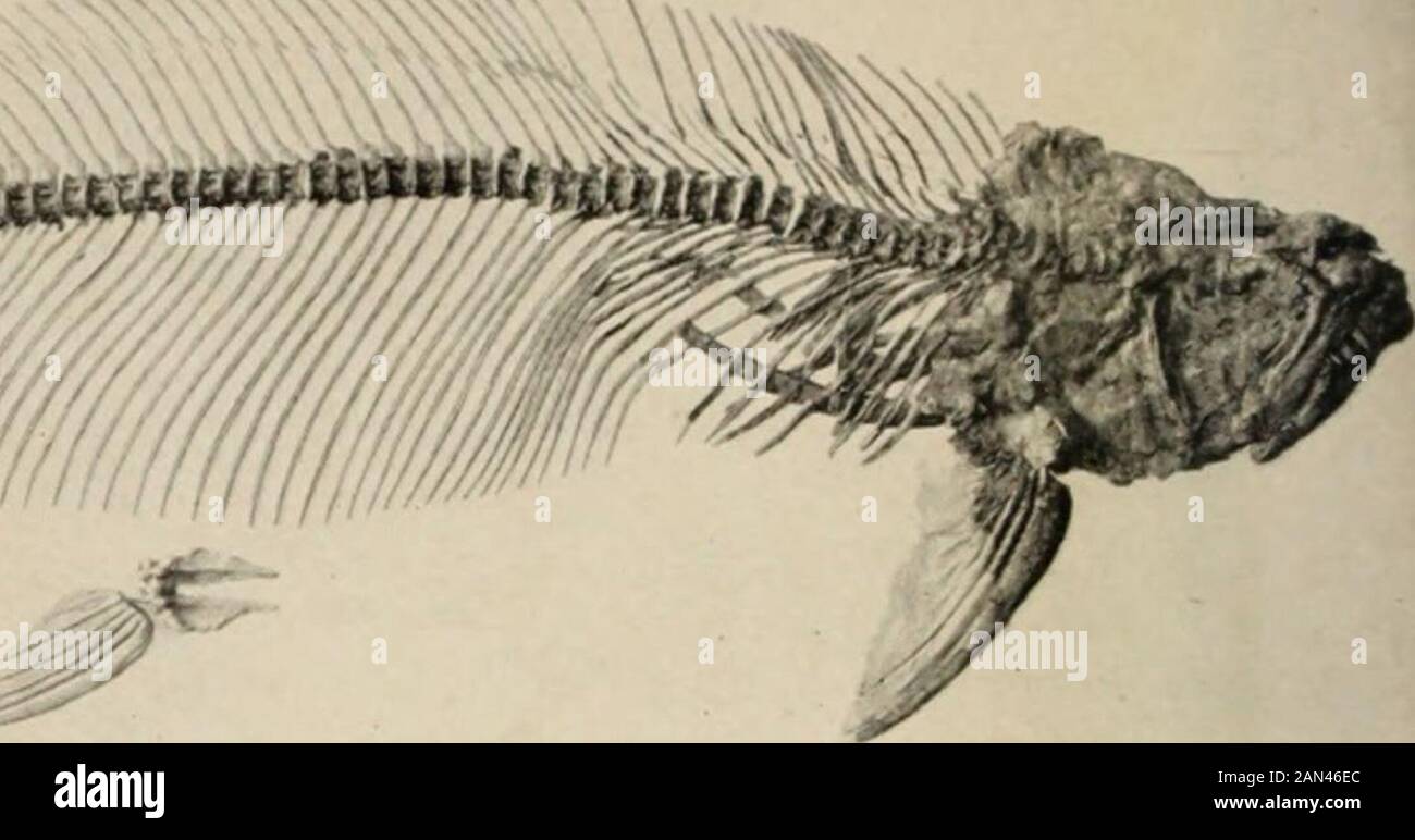 Pastperiod hi-res stock photography and images - Alamy