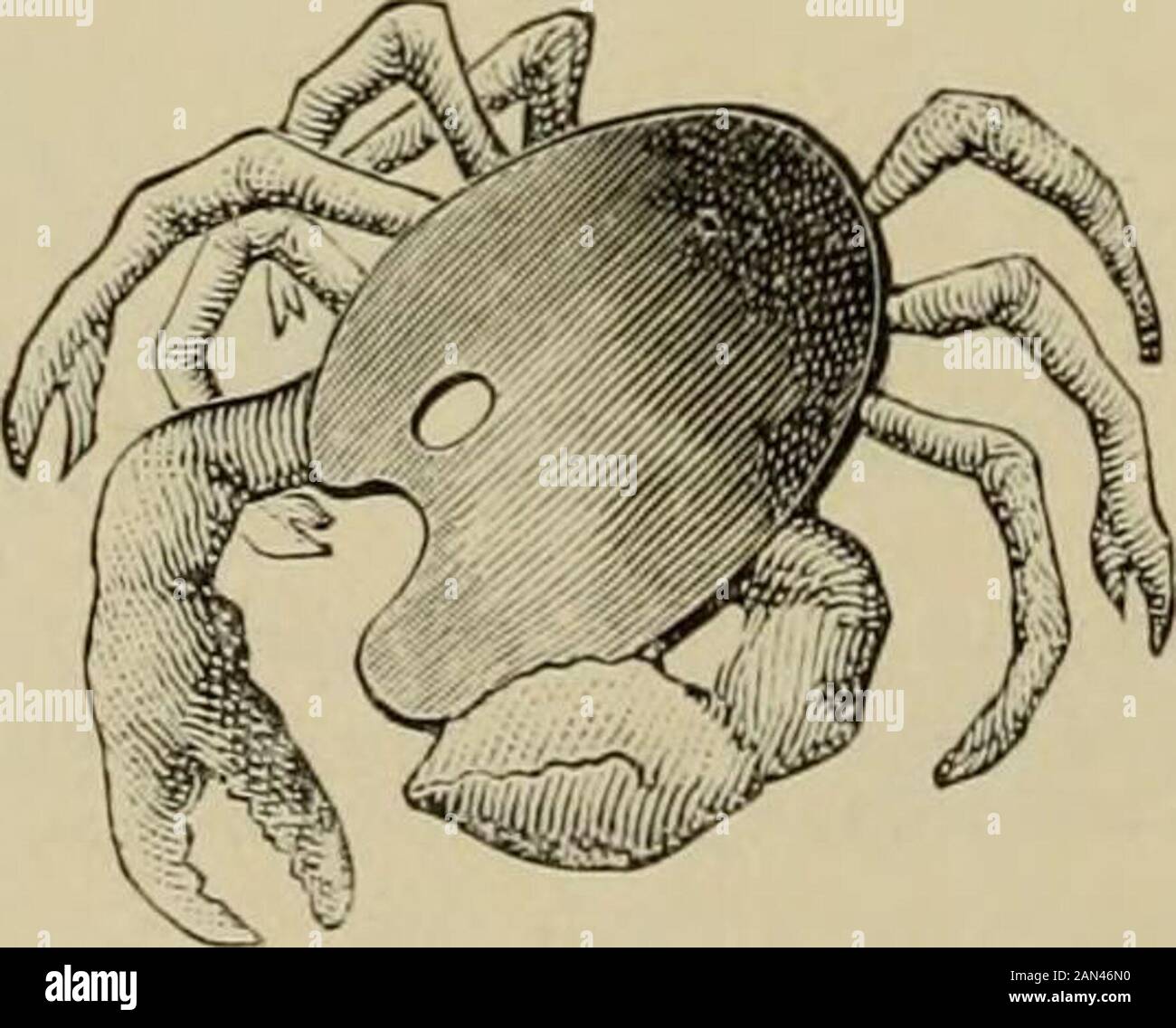 Predominant colors range hi-res stock photography and images - Alamy