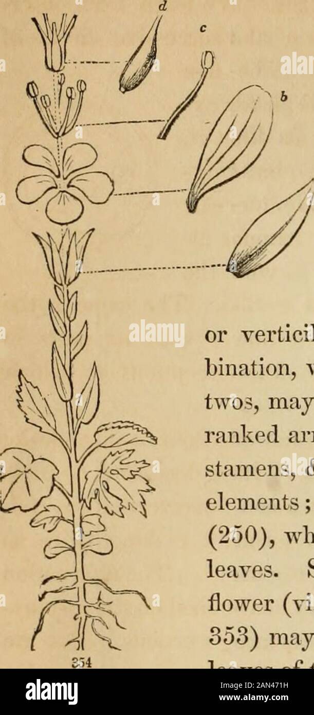 Twoelements hi-res stock photography and images - Alamy