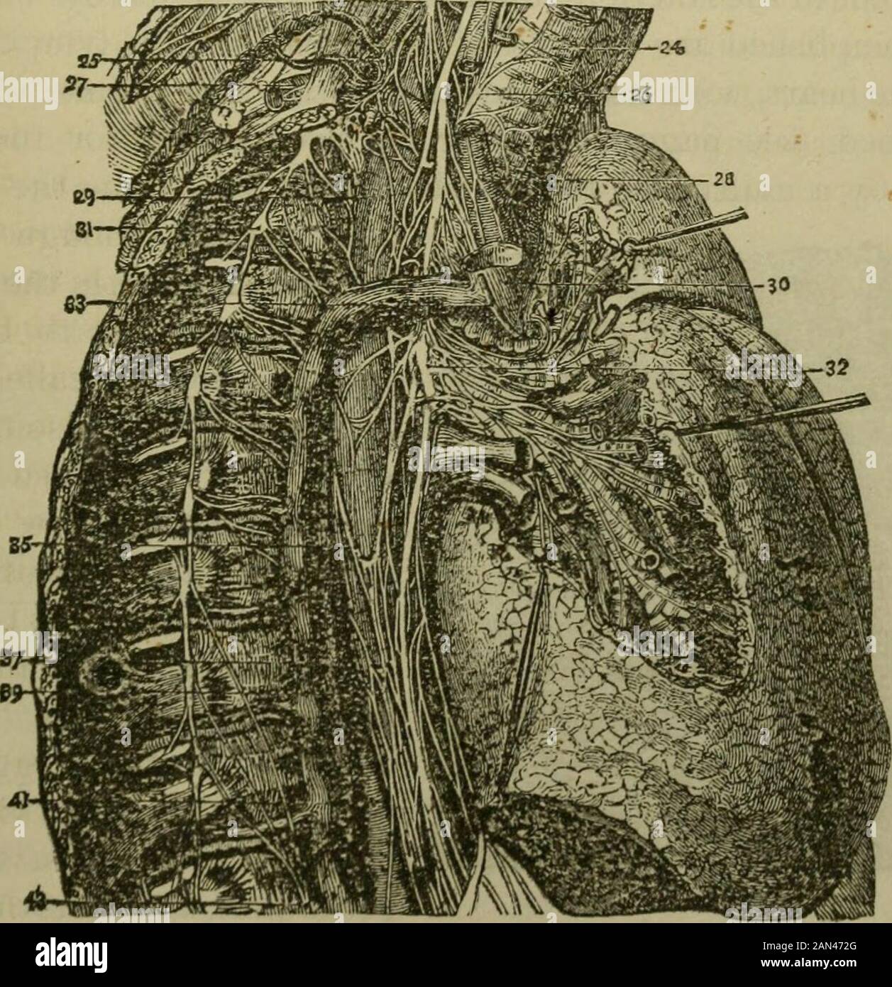 Thermolysis process hi-res stock photography and images - Alamy