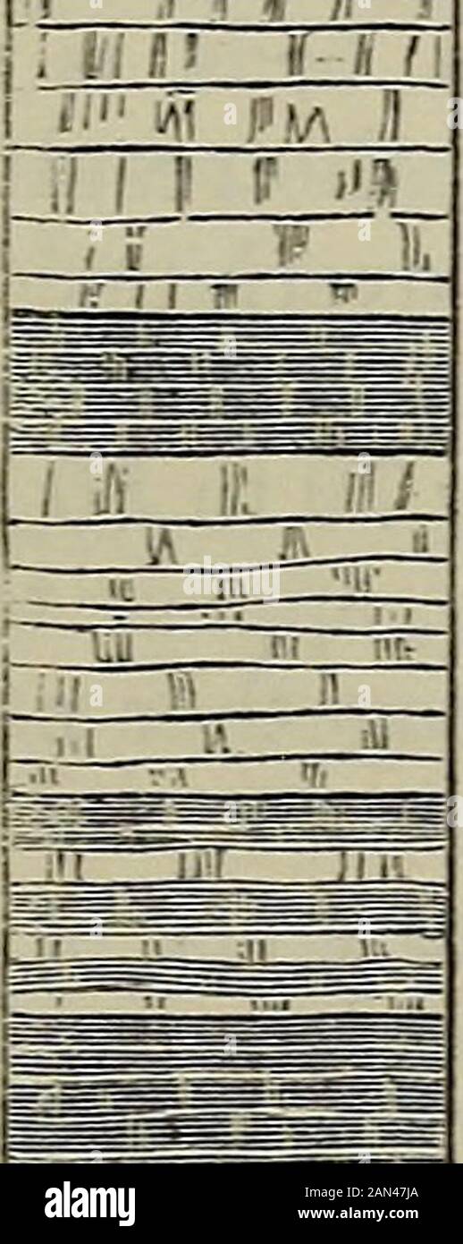 Marly chalk hi-res stock photography and images - Alamy