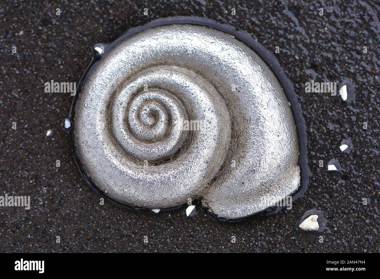 Detail of cast alloy snail shell on wet dark footpath surface Stock ...