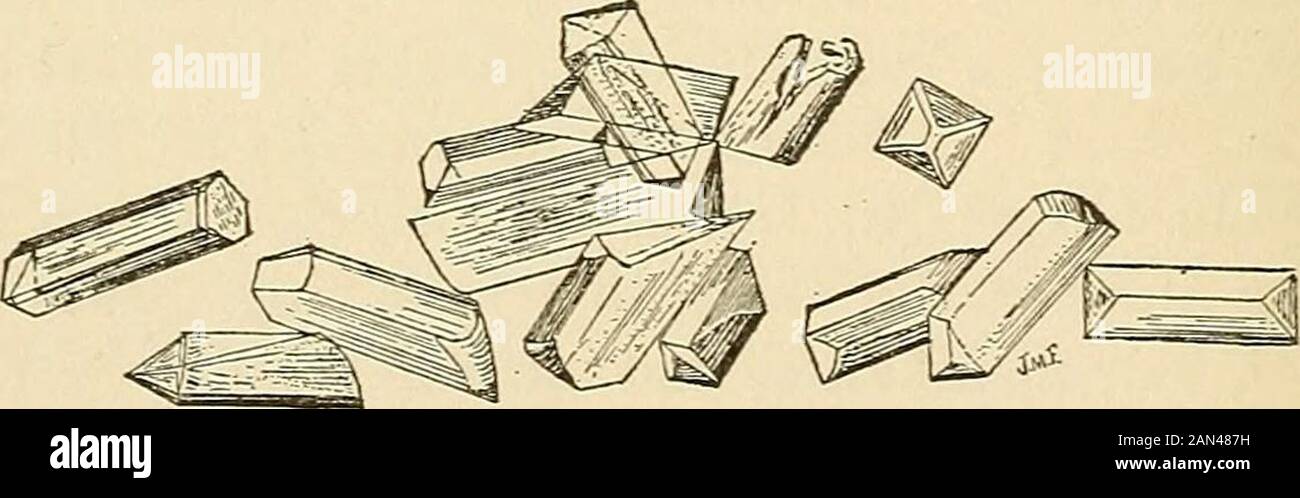 Triple Phosphate Crystals In Urine