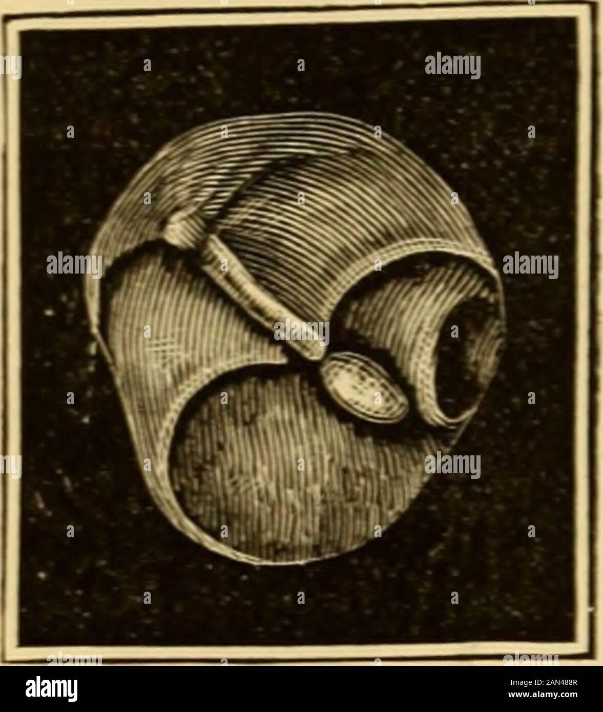 Promon hi-res stock photography and images - Alamy