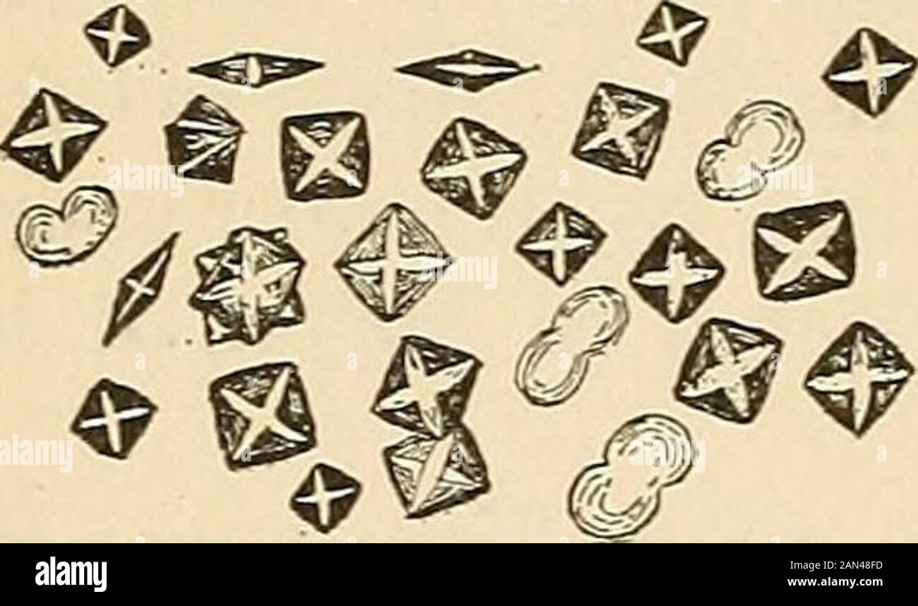 Calcium oxalate crystals hi-res stock photography and images - Alamy