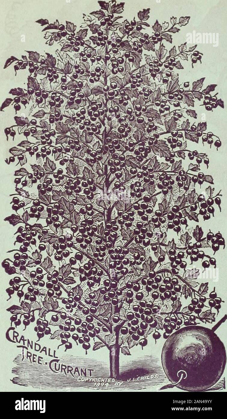 Moredelicious hi-res stock photography and images - Alamy