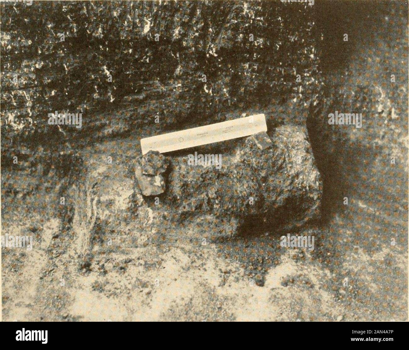 Folsom point hi-res stock photography and images - Alamy