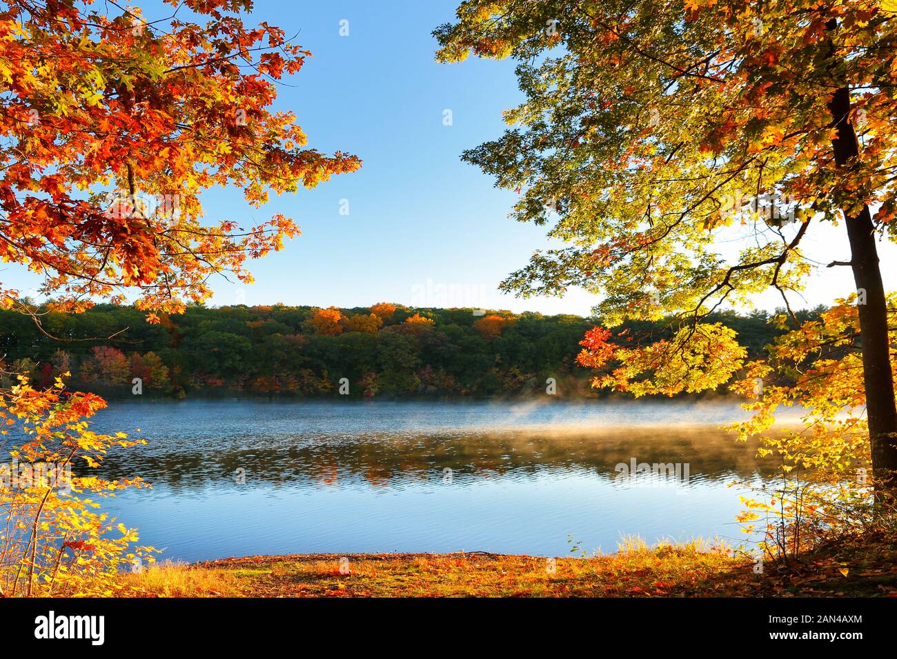 Beautiful Fall Foliage of New England at Sunrise, Boston Massachusetts ...