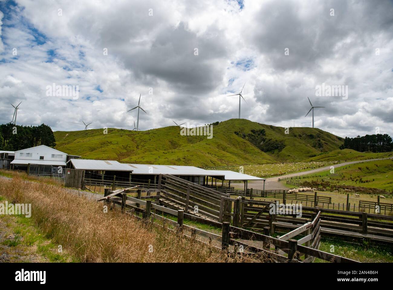 Cattle yards hi-res stock photography and images - Alamy