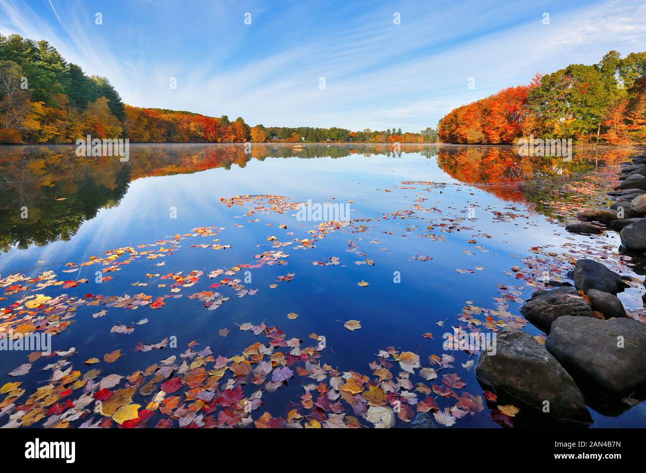 Beautiful Fall Foliage of New England at Sunrise, Boston Massachusetts ...