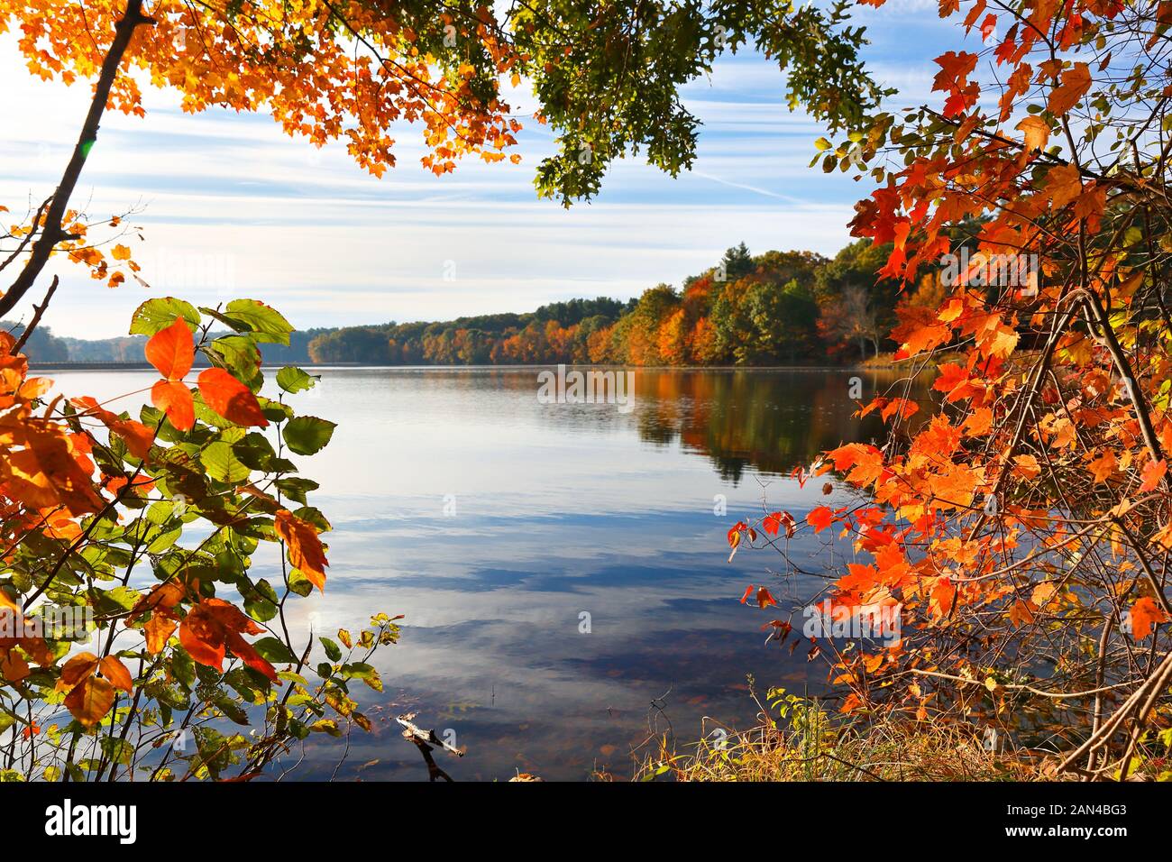 Beautiful Fall Foliage of New England at Sunrise, Boston Massachusetts ...