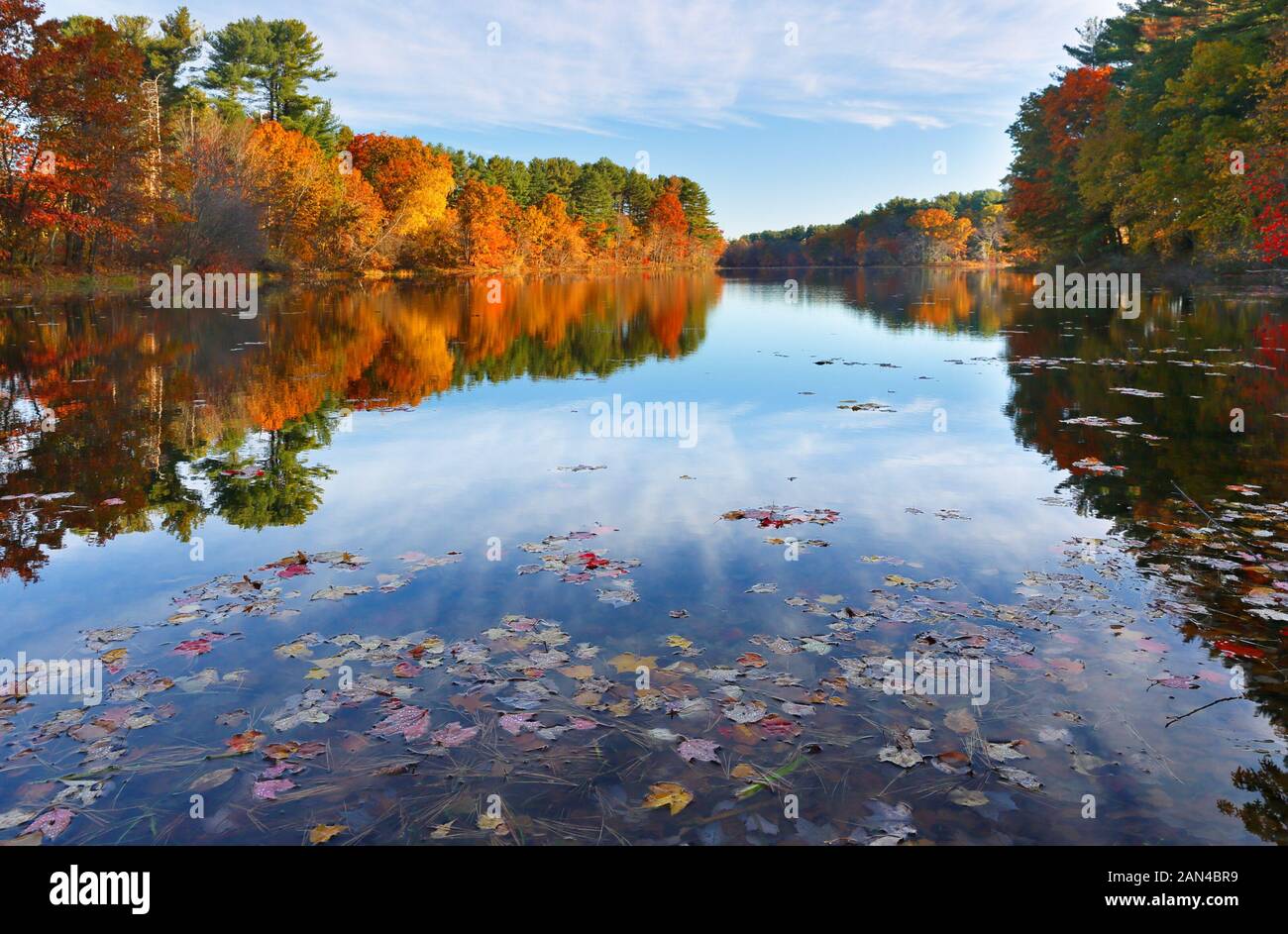 Beautiful Fall Foliage of New England at Sunrise, Boston Massachusetts ...