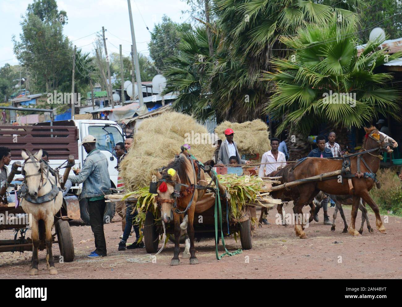 Horse carrying hay cart rural hi-res stock photography and images - Alamy