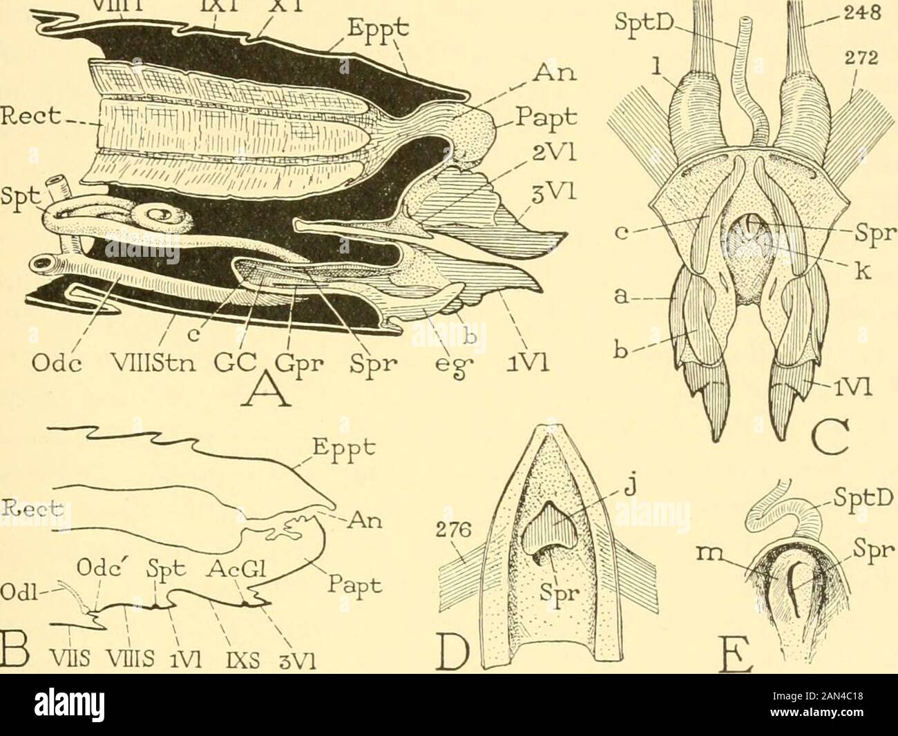 Smithsonian miscellaneous collections . he site of the primary ...