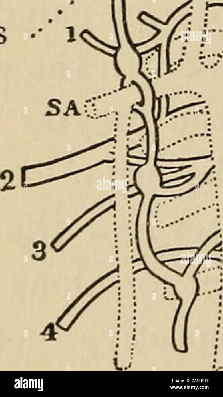 An introduction to physiology . LAS .*V :> *?. LAS i r> «. LjAo Fig. 72 ...