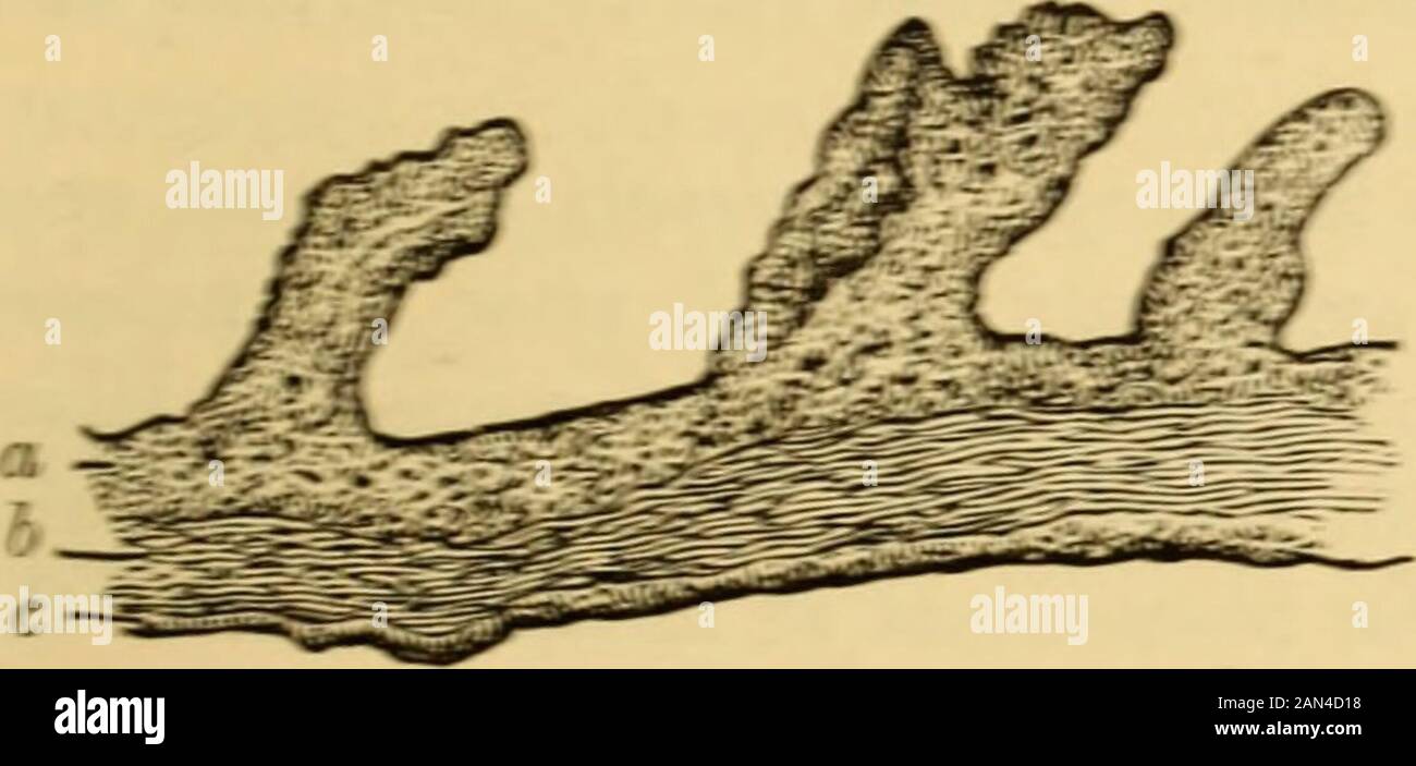 A text-book of the diseases of the ear and adjacent organs . nd ...