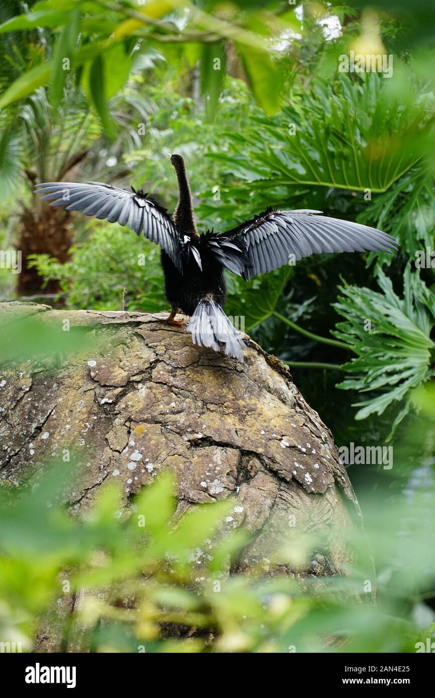 Stretch of land hi-res stock photography and images - Alamy