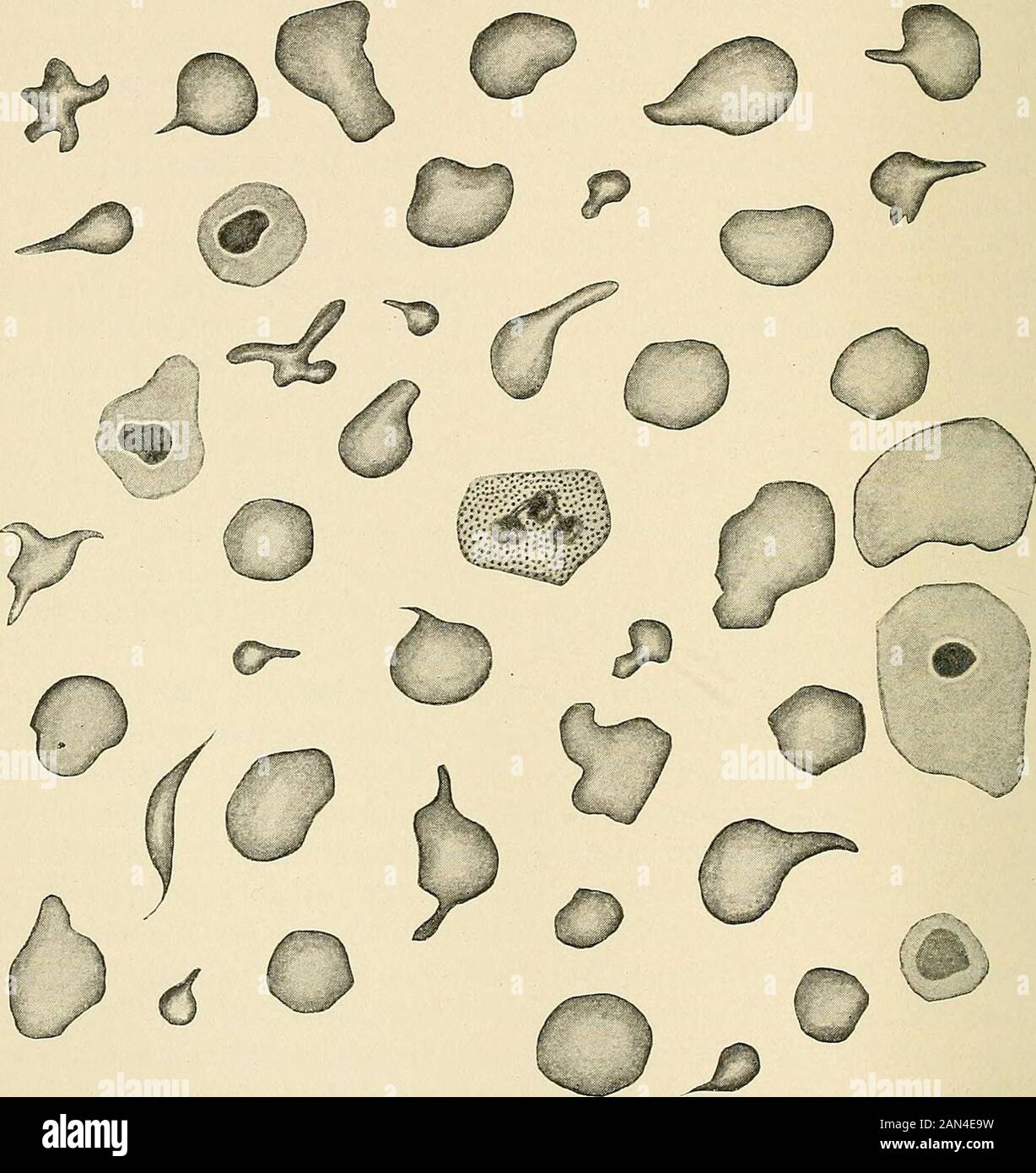 Dulating hi-res stock photography and images - Alamy