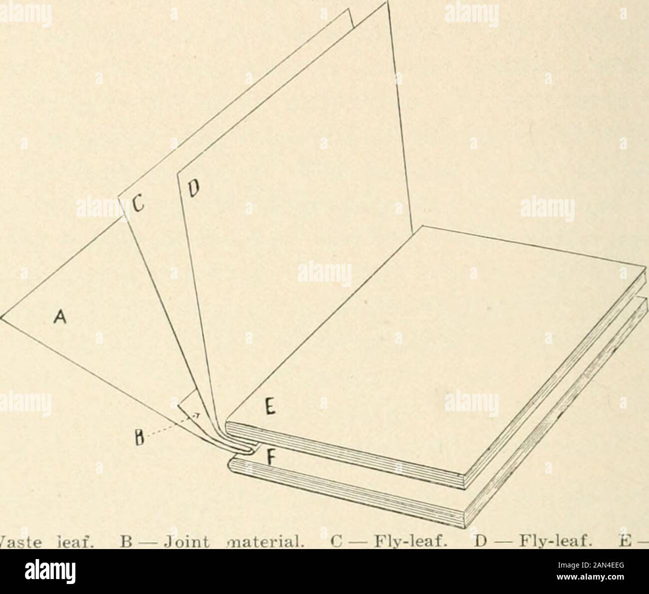 Bookbinding and its auxiliary branches . k between thefirst and last ...